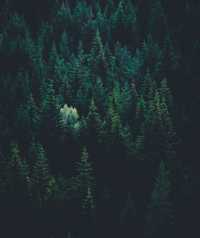 National park types | Alper